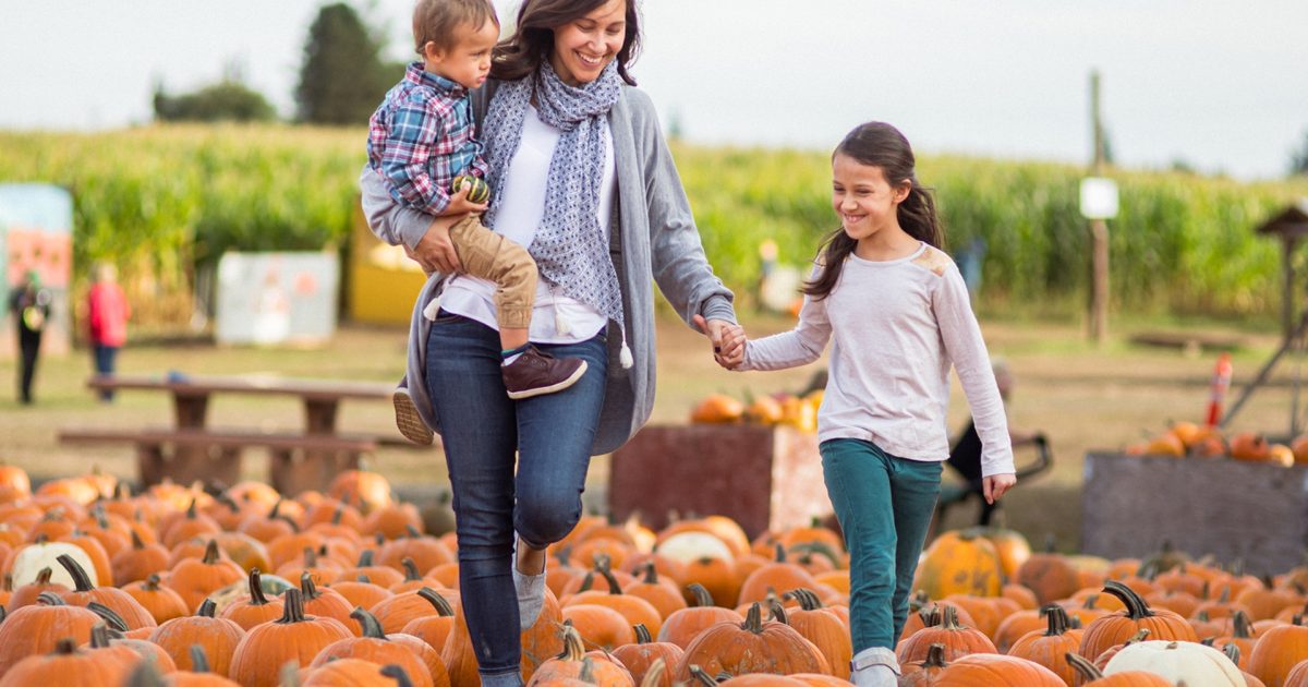 Fall Fun: Exploring GRAND Pumpkin Patches and the World's Largest Corn Maze | Visit Grand Forks
