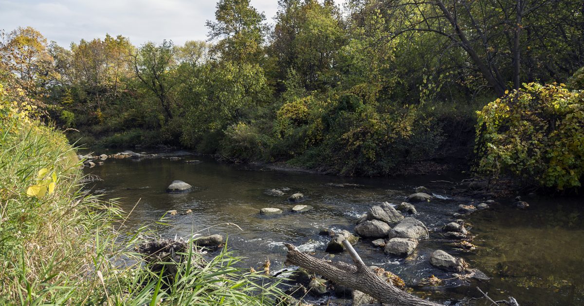 Turtle River State Park | Visit Grand Forks